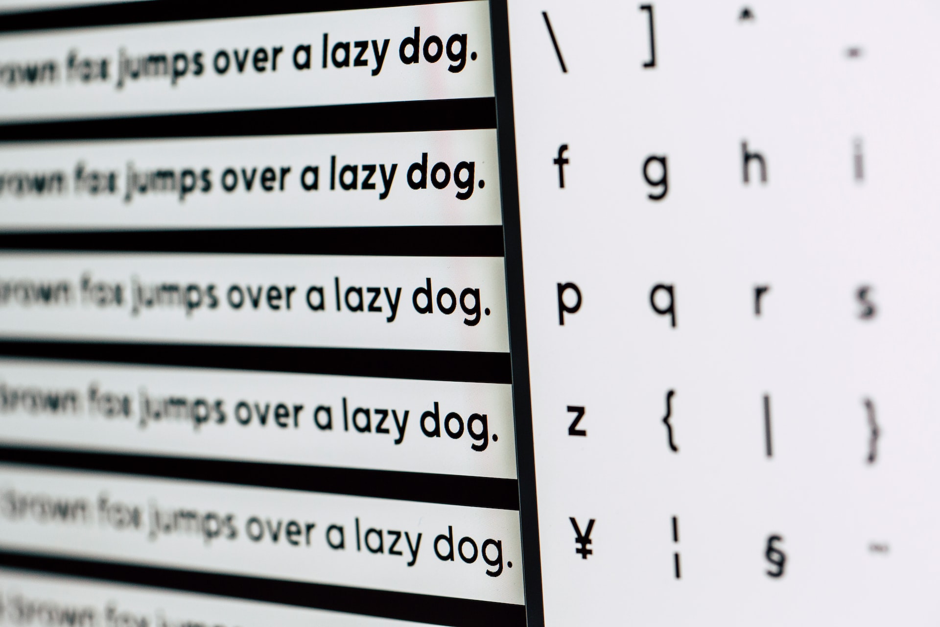 10 Best Email Signature Fonts How To Choose 